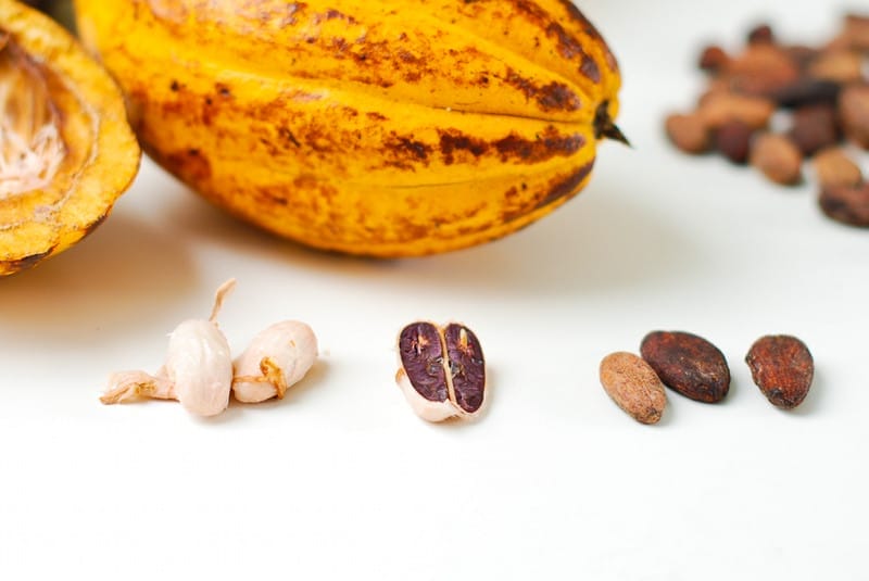 Cacao: Health Benefits, Tips and Product Picks! – One Green Planet