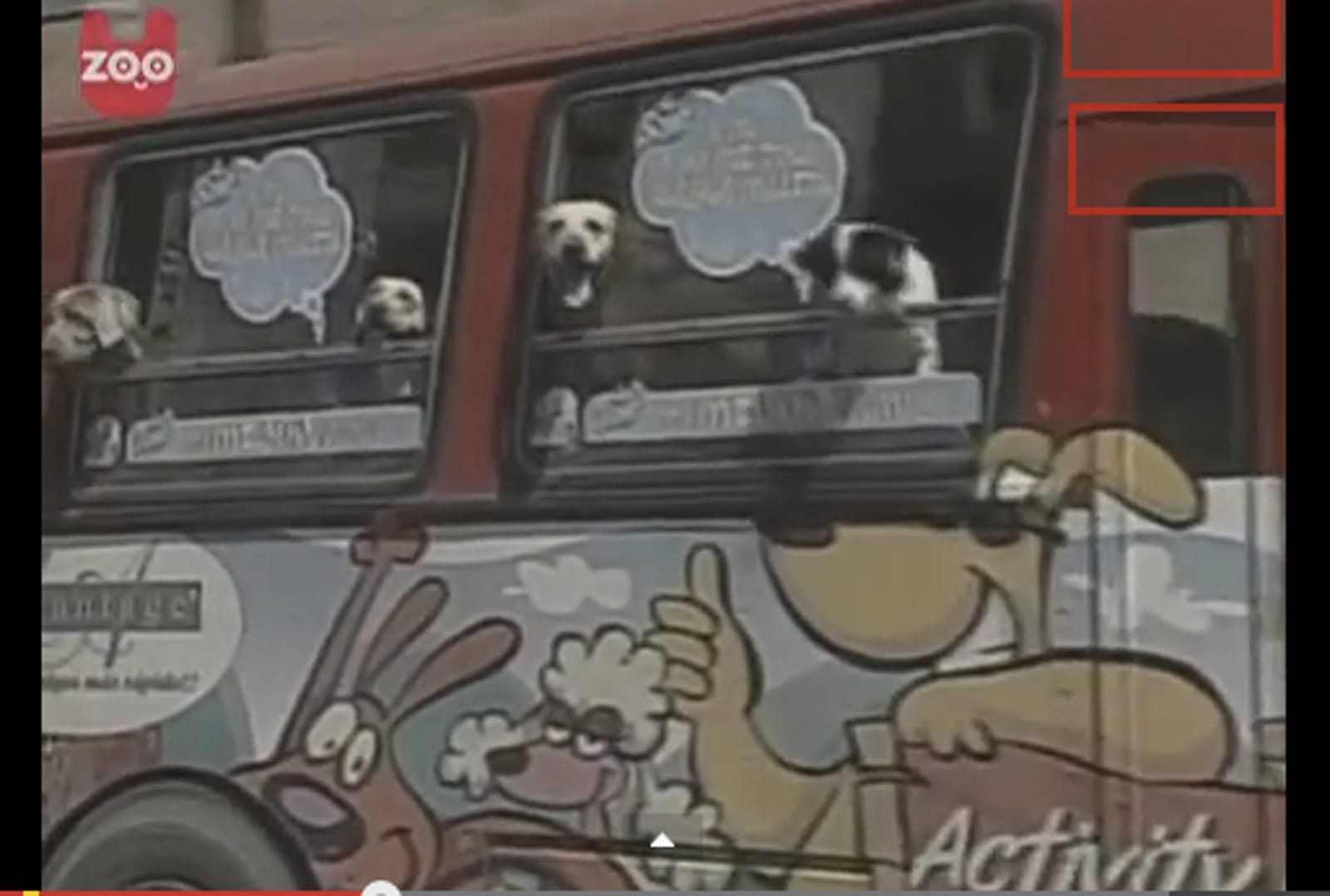 This Amazing Doggy School Has a Bus Service to Make Sure No Dog Has to ...