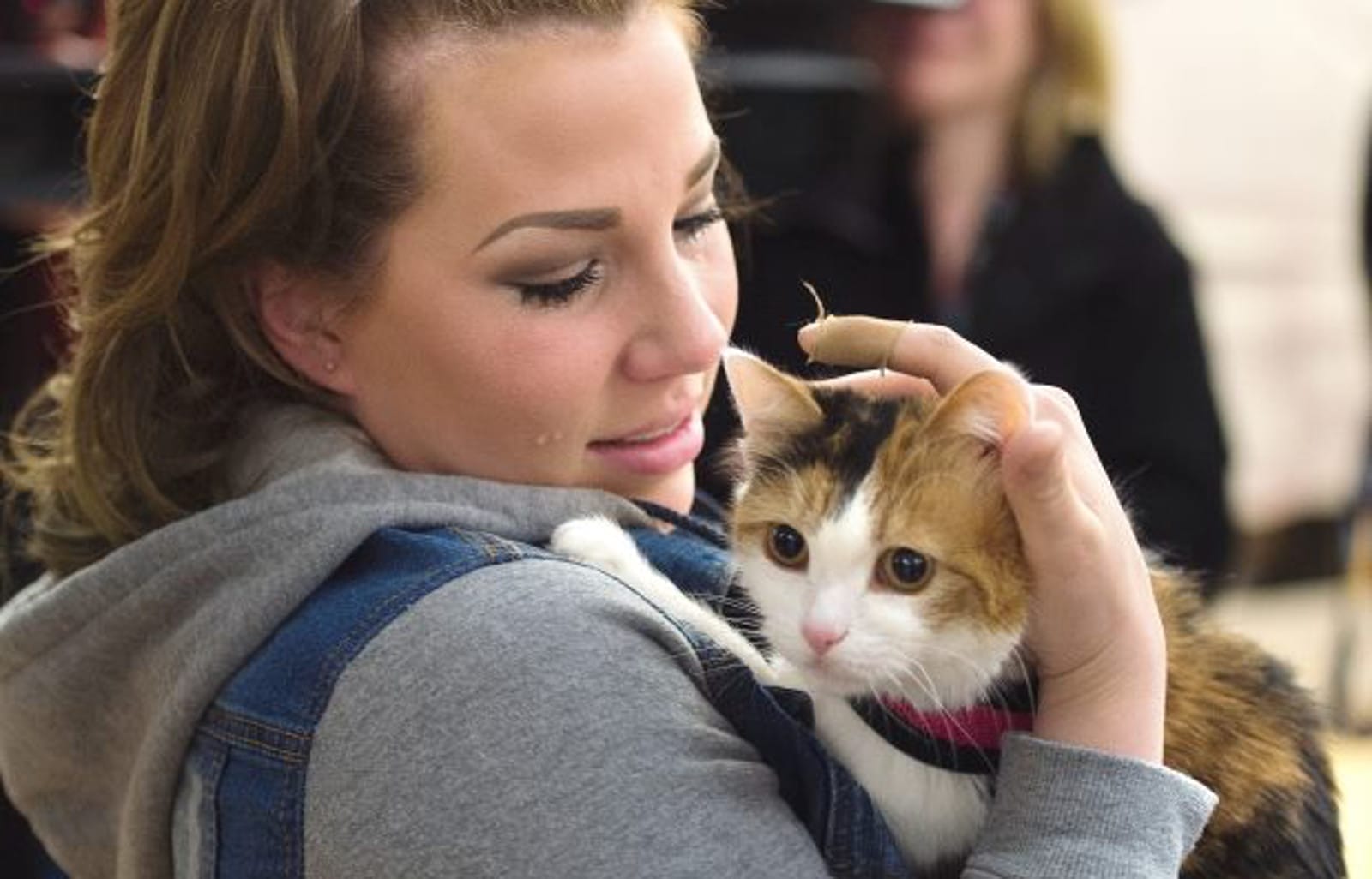 Emotional Reunion! Cleo the Cat Reunited With Her Human After 6 Years ...