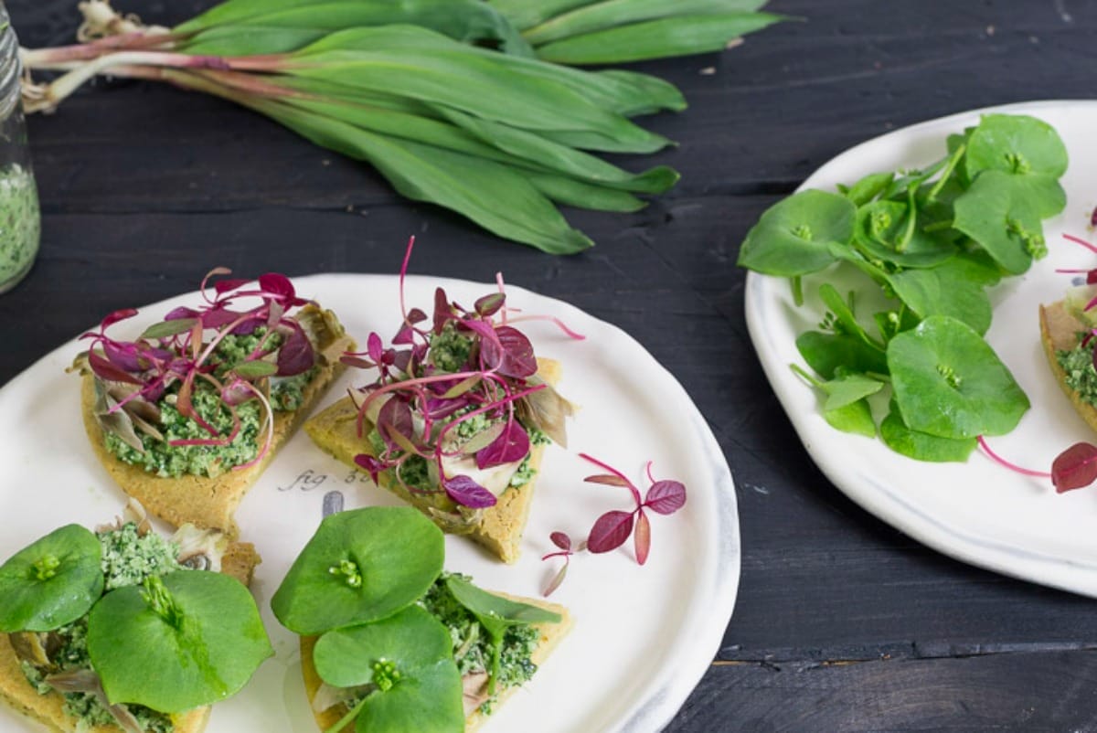 Ramps, the Ultimate Spring Veggie: How to Pick the Best Ones and Use ...