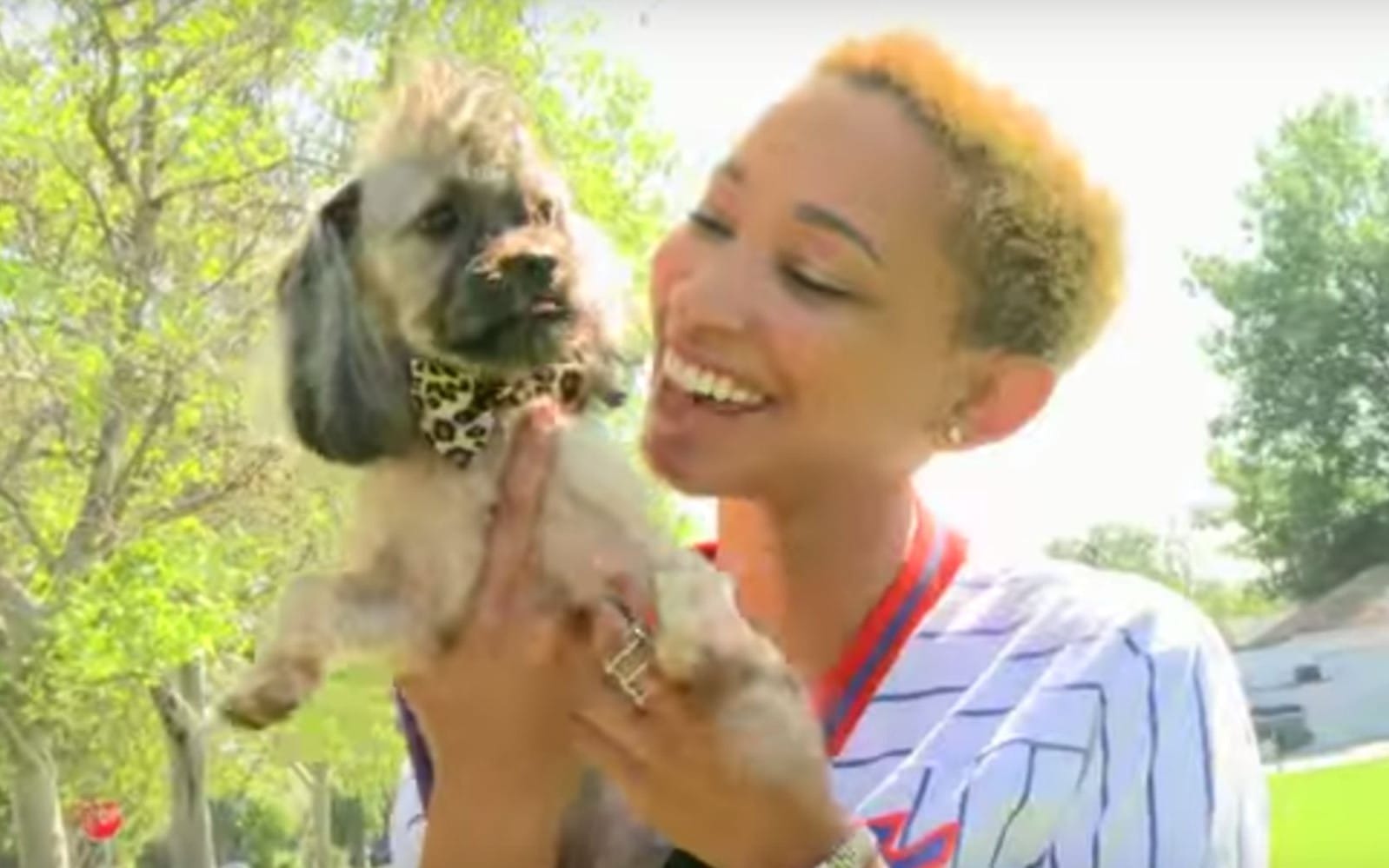 Sweet Pup Gets Rescued and a Badass Makeover That Will Make You Melt ...