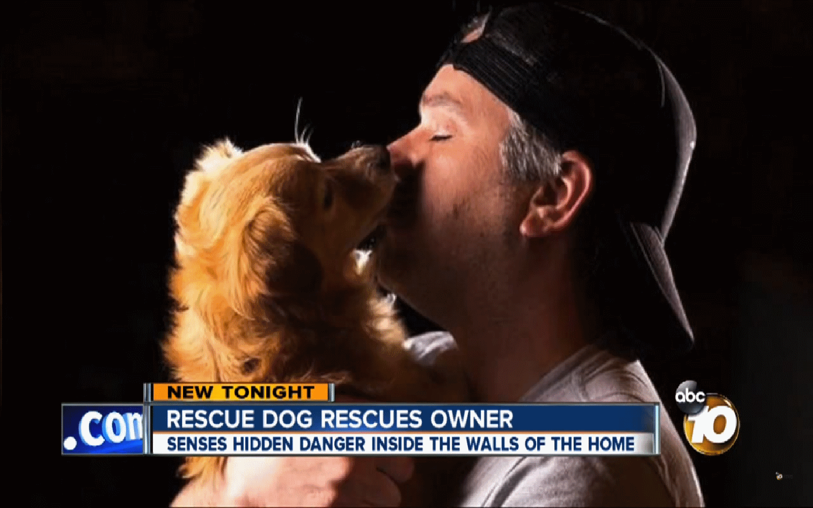 Incredible Dog Repays Man Who Rescued Him by Saving Him From Fire ...
