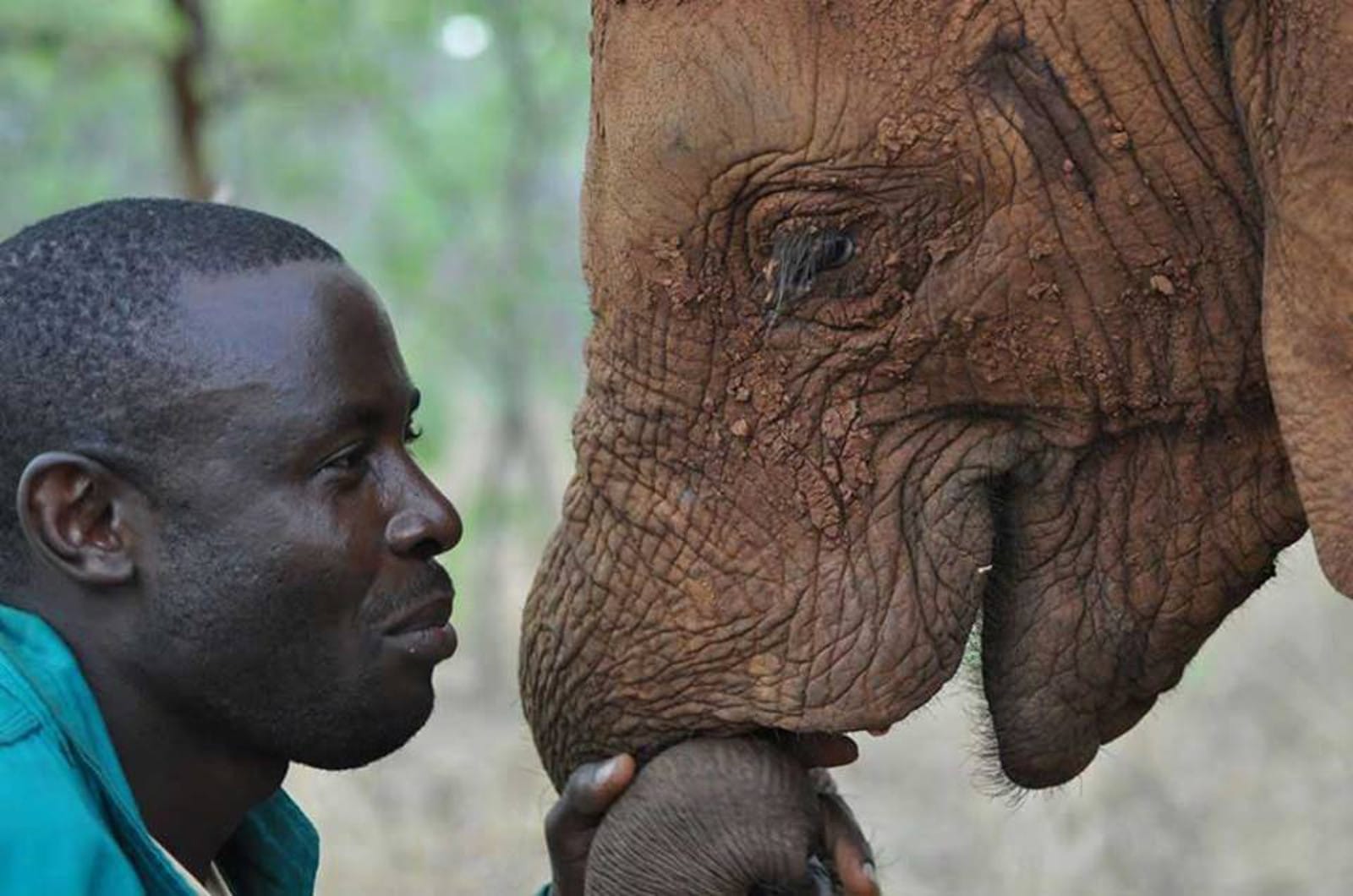 Beautiful Photo Reveals the Undeniable Connection Between Humans and ...
