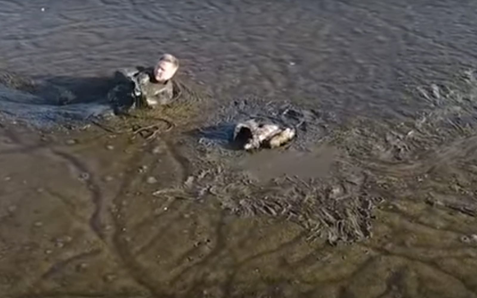 Courageous Photographer Wades Into Thick Mud, Up to His Neck, to Rescue ...