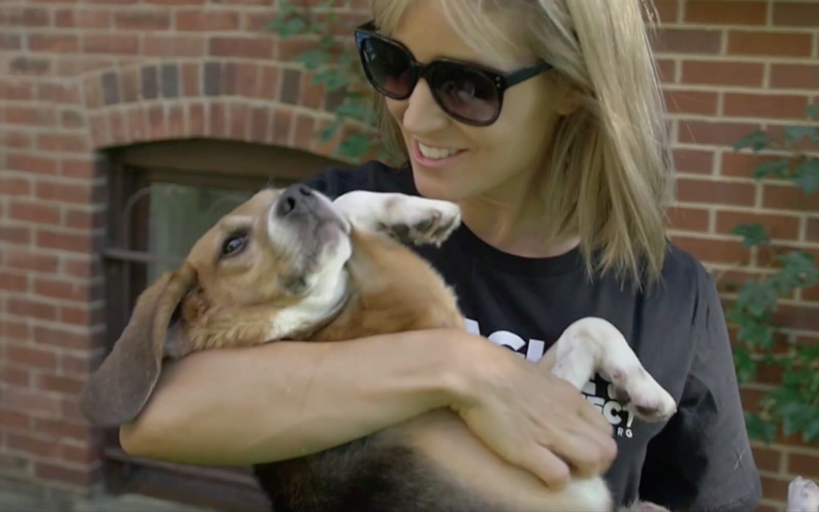 Rescued Former Lab Beagles Experience Love and Sunshine For the First ...