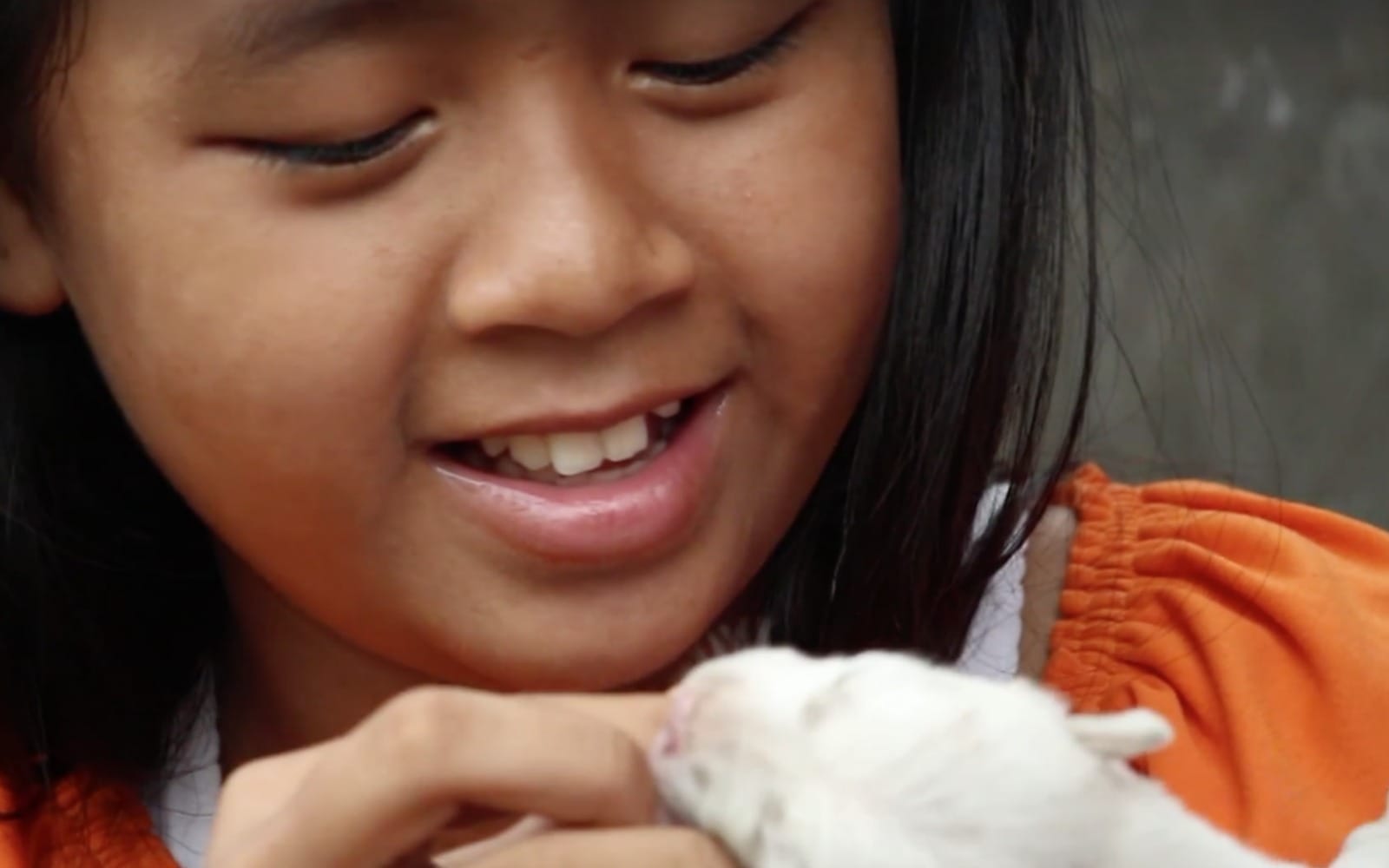 A Dog Saved This Little Girl So Her Family Is Paying it Forward By ...