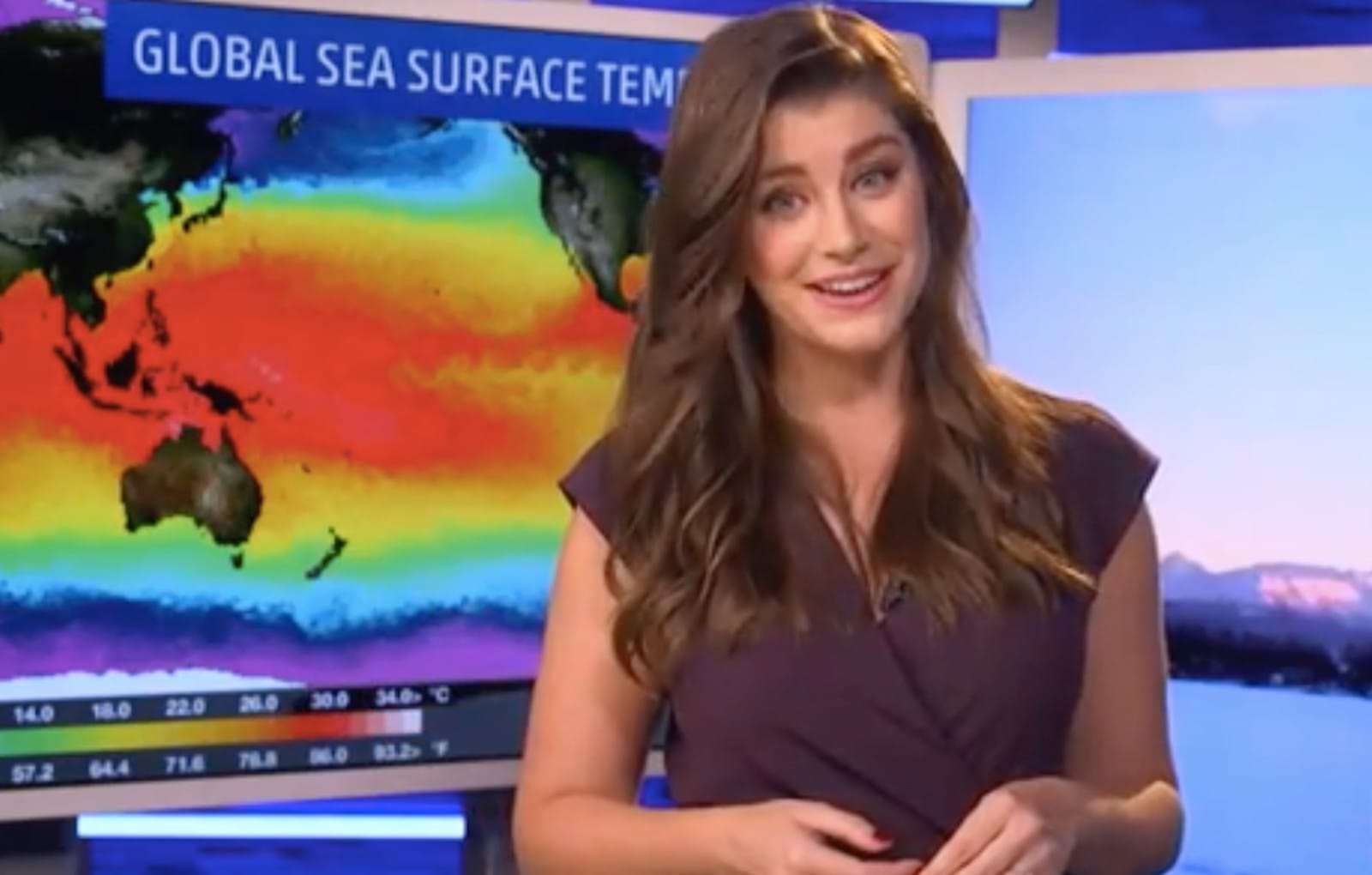 Watch a Weather Channel Meteorologist School Climate Change Deniers in ...