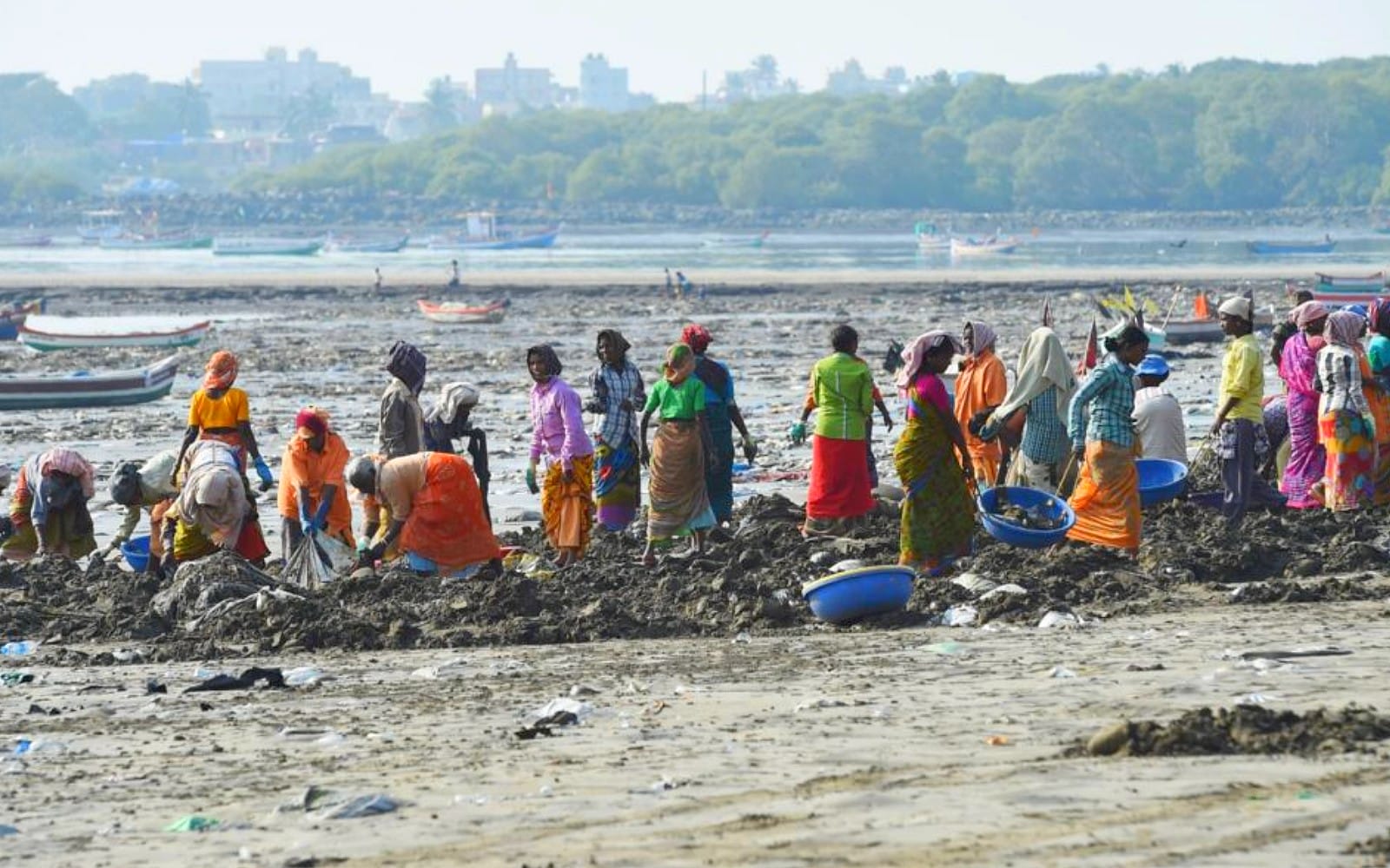 This Beach Was Covered Waist-High Deep in Plastic, Thanks to Volunteers ...