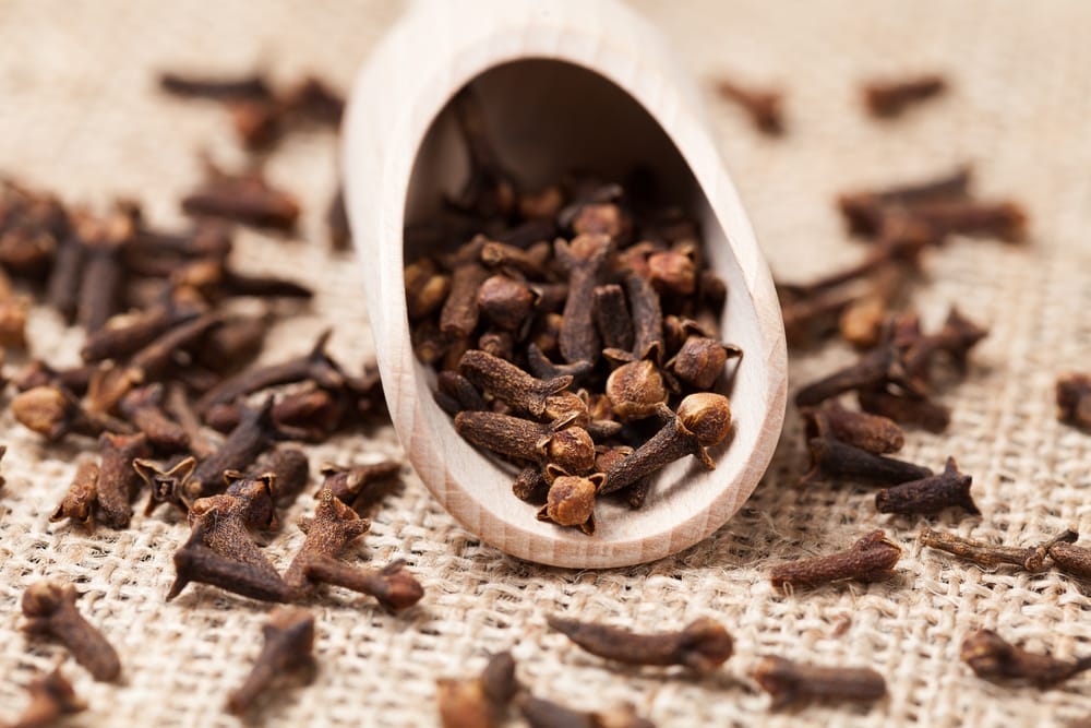 Are Ground Cloves And Cinnamon Safe For Dogs And Cats