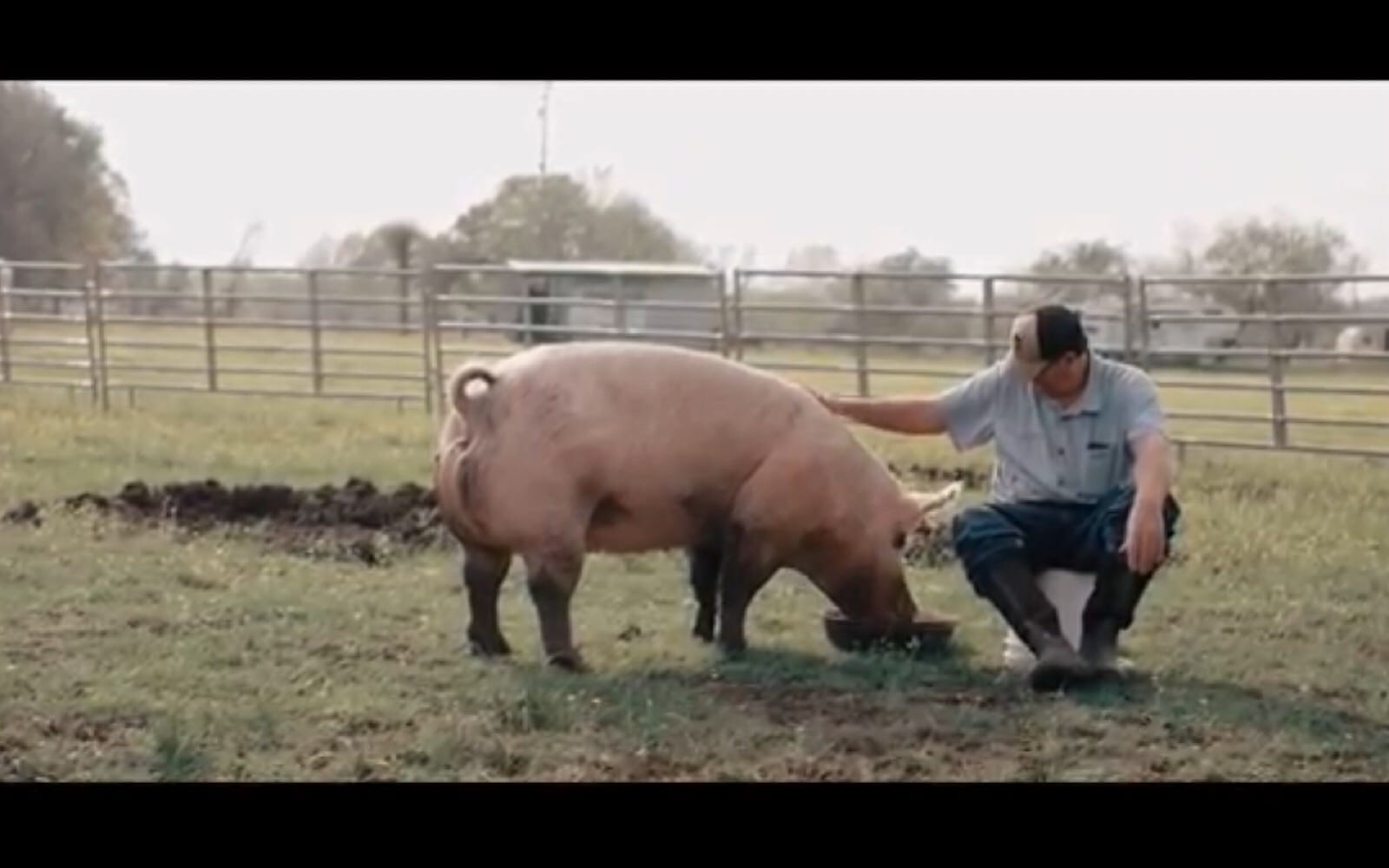 New Documentary Series Showcases 5 Remarkable People Who Are Changing ...