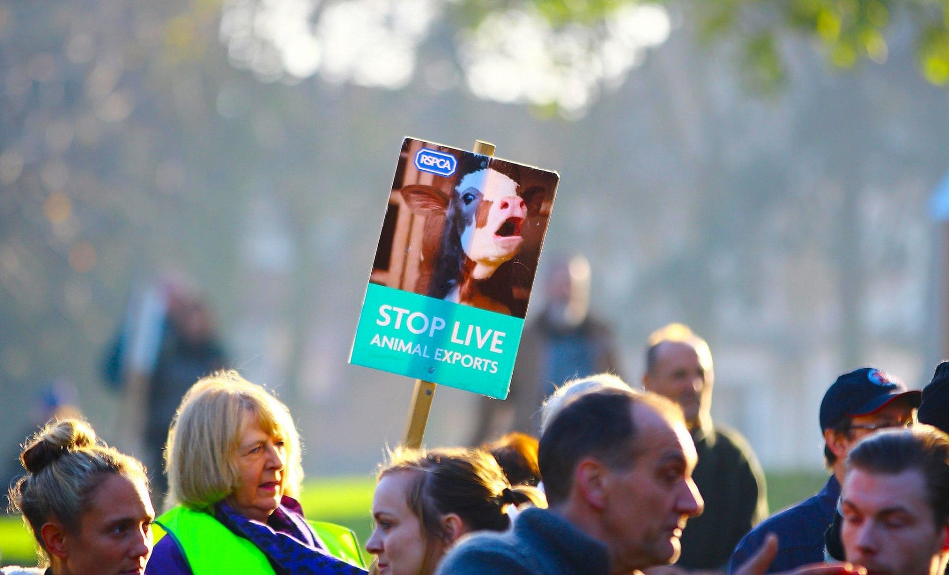 French Consumers Are Finally Embracing a Plant-Based Diet – One Green ...