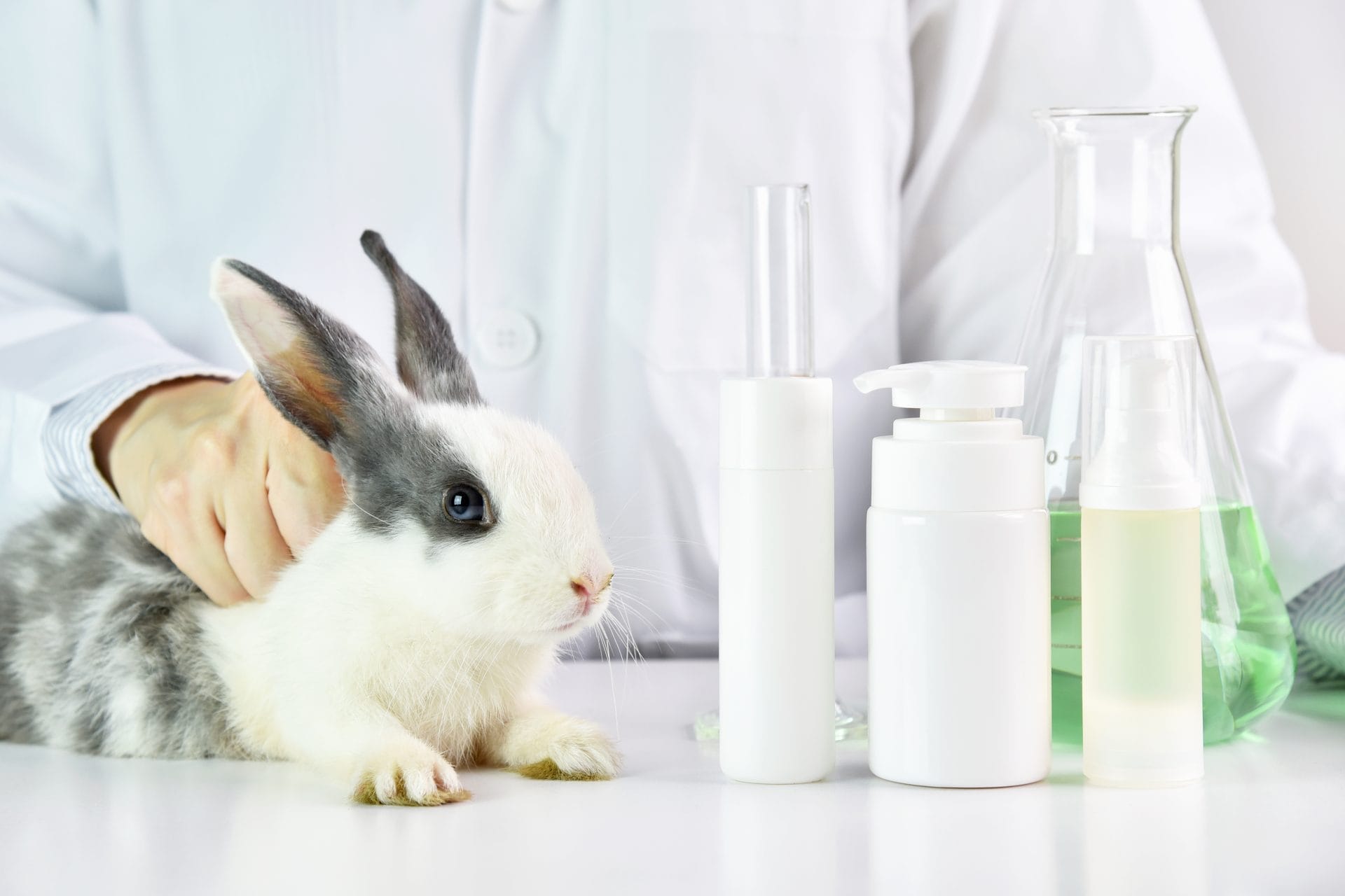 China Will No Longer Require Post-Market Cosmetic Animal Testing! – One ...