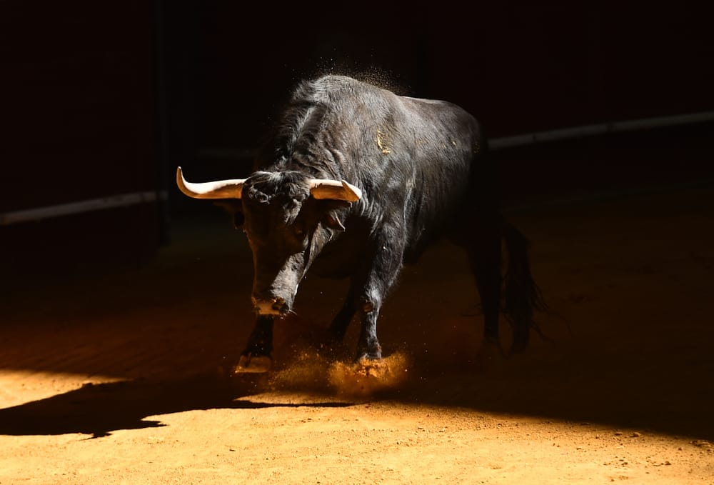 Real Charging Bull