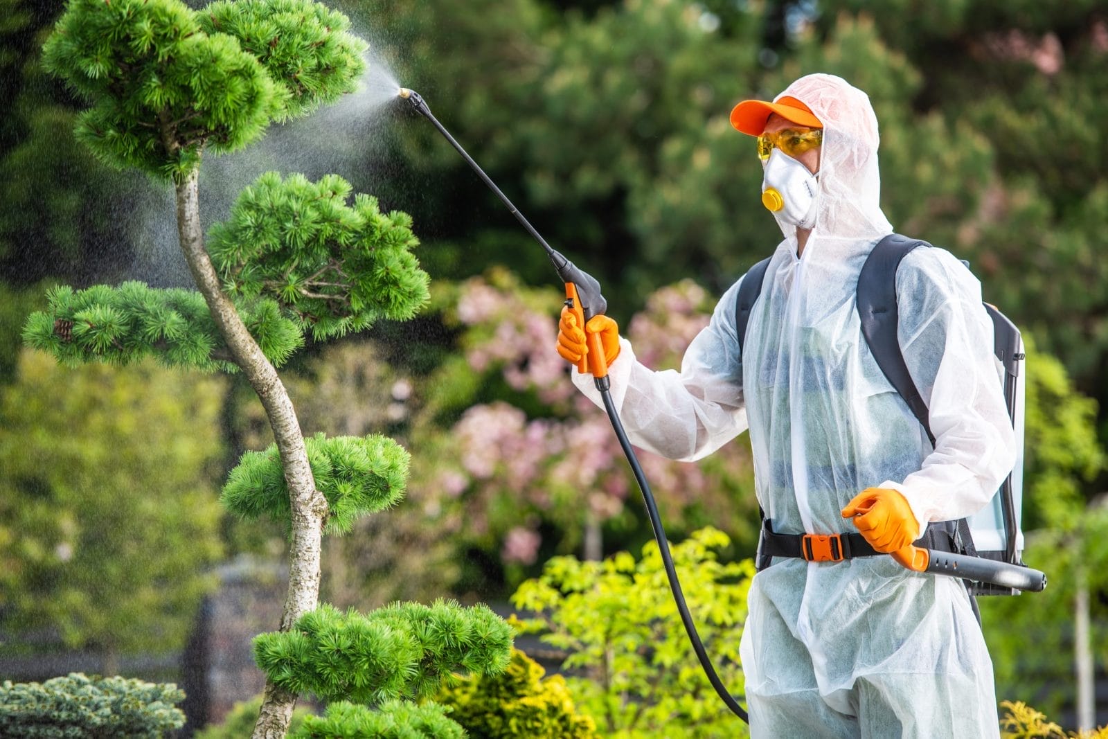 7 Reasons Biocides Are Not Good for Your Garden – One Green Planet