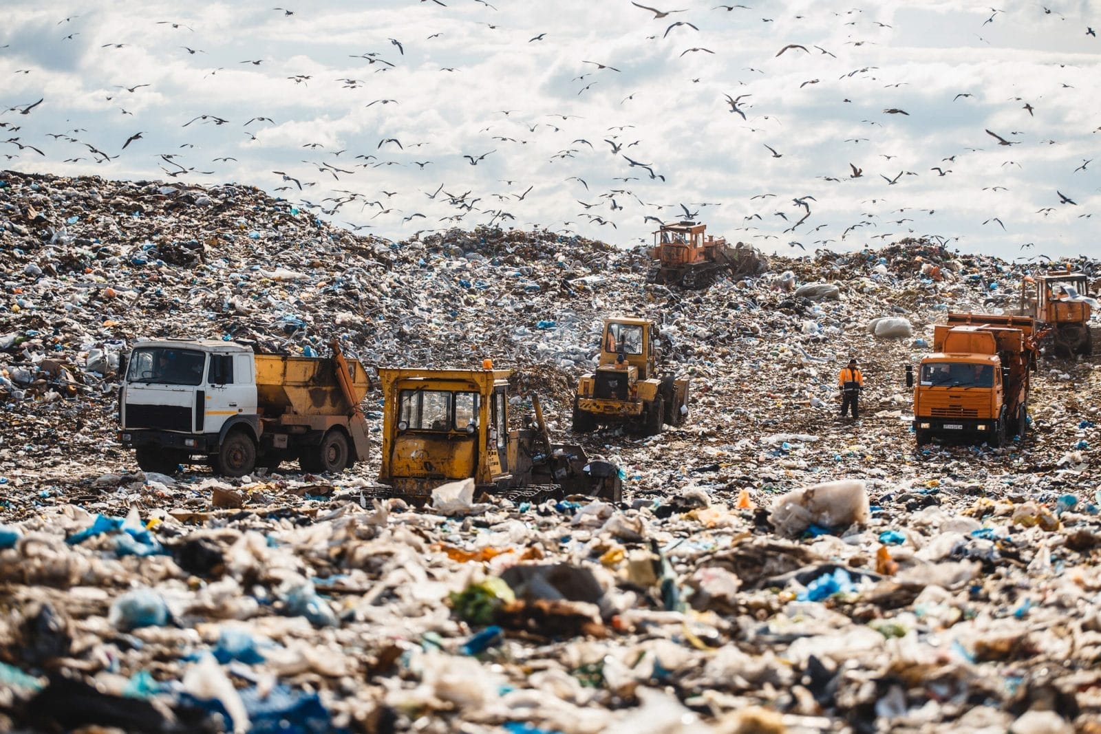 Food Waste Landfill