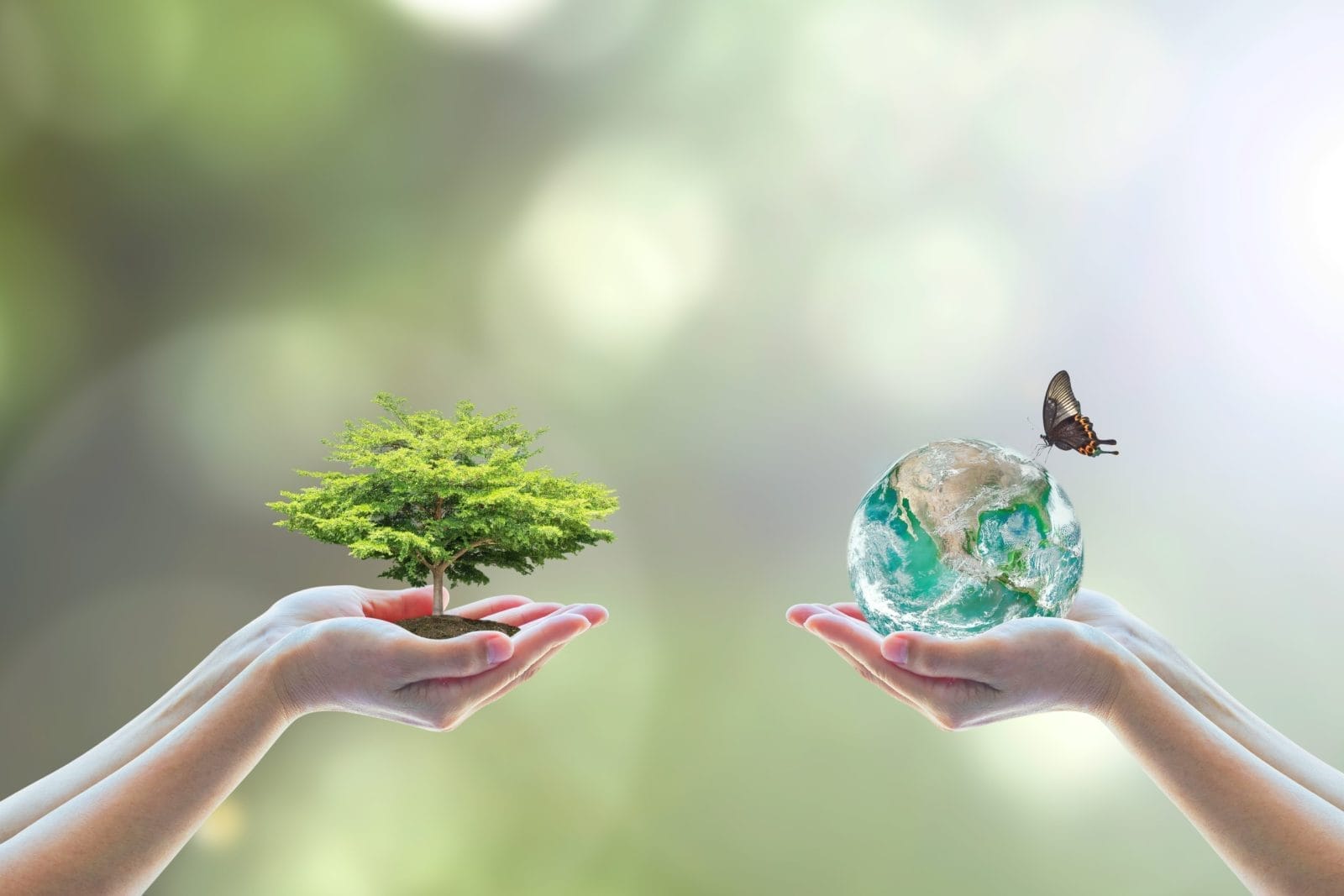 10 Simple Ways You Can Help Biodiversity – One Green Planet