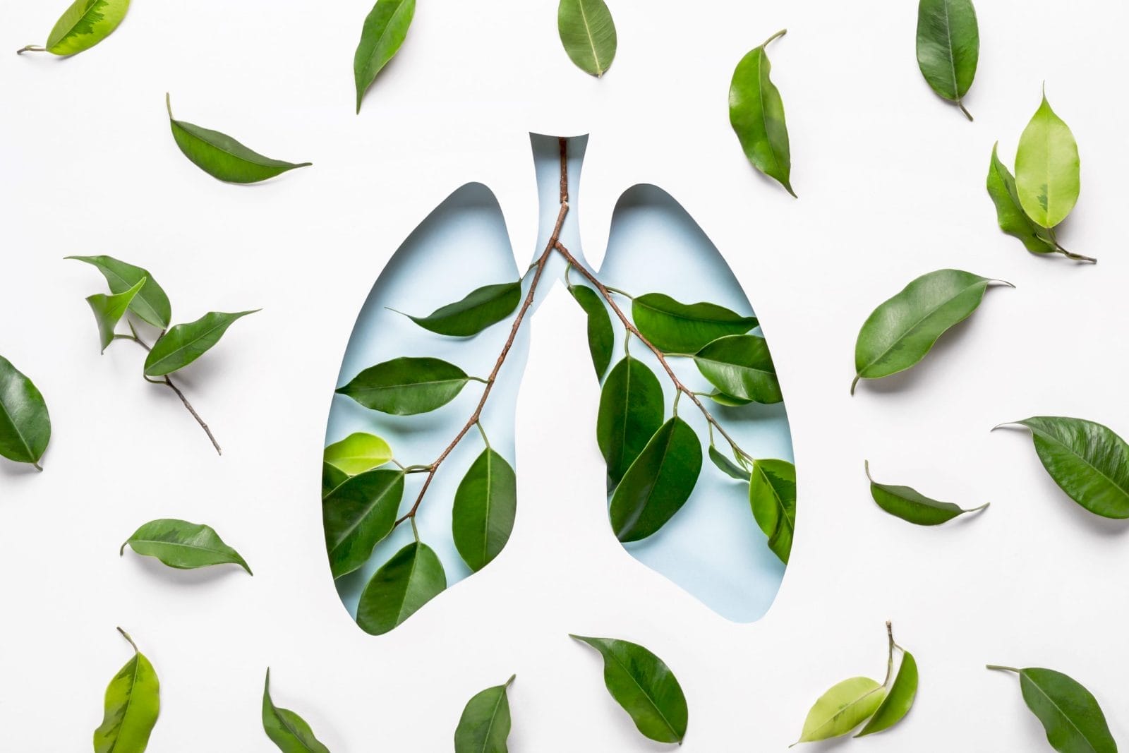 Poor Lung Function Linked To Vitamin K Deficiency – One Green Planet