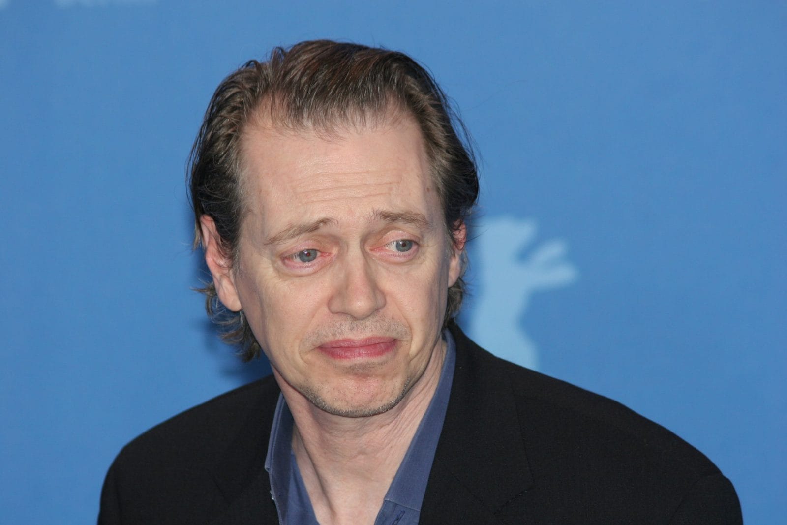 Cat That Looks Like Steve Buscemi Is the Internet’s New Favorite Rescue ...